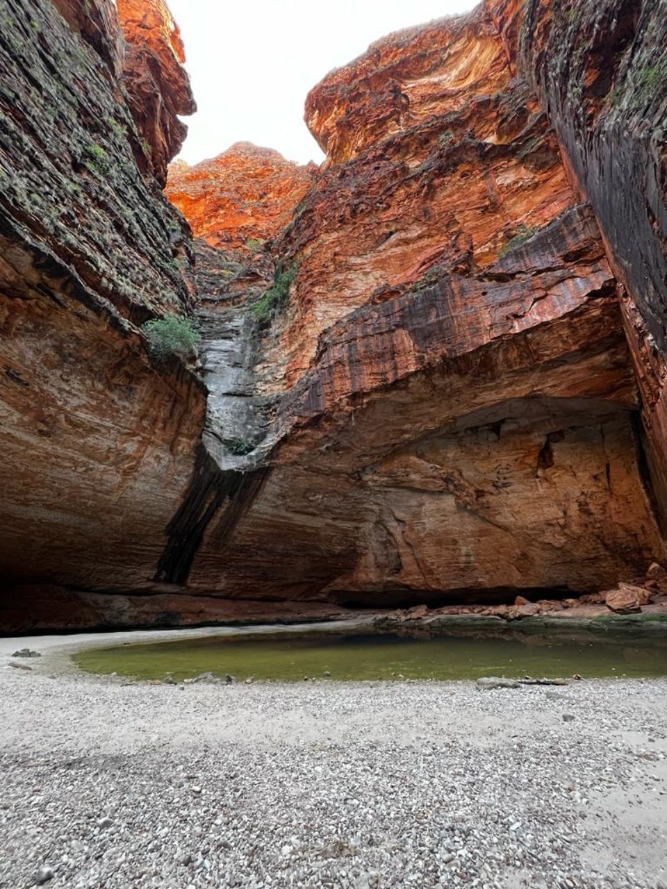How to get to the Bungle Bungles and the Best Walks for the Family ...
